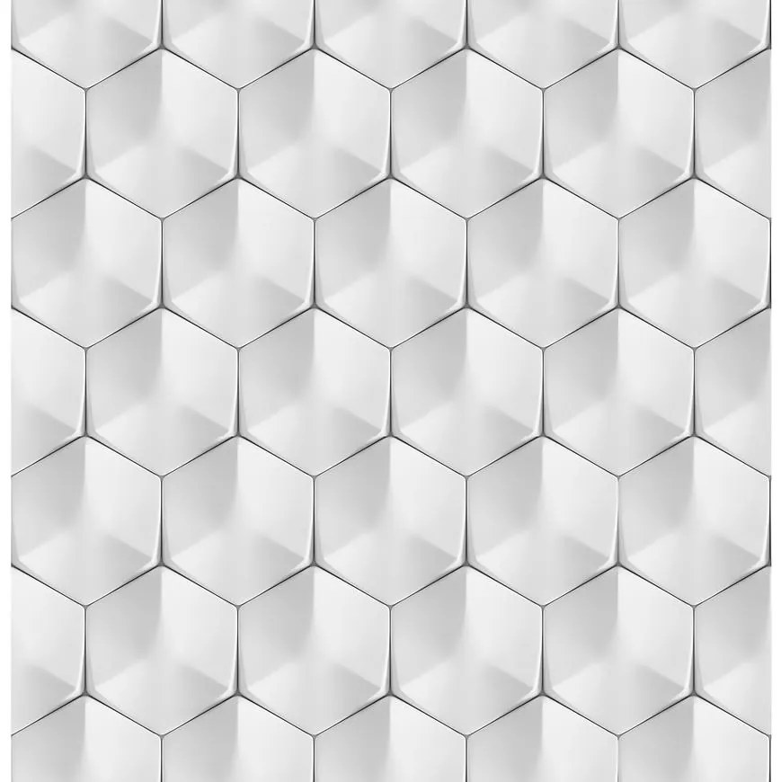 Skleněný panel 60/60 Polar Hex Esg