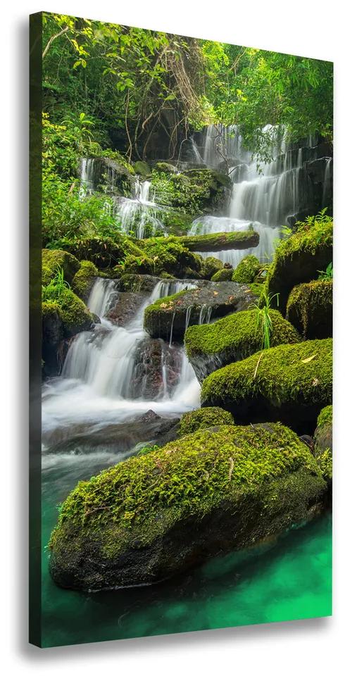 Wallmuralia Foto obraz na plátně Vodopád v džungli 50x100 cm