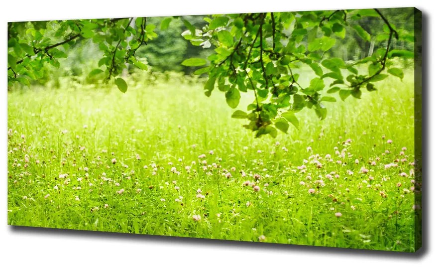 Wallmuralia Foto obraz na plátně zelená louka 140x70 cm