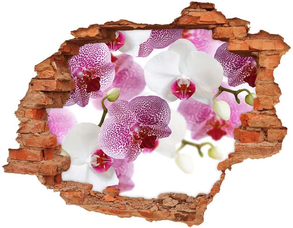 Wallmuralia Fototapeta nálepka na zeď Fototapeta orchidej 90x70 cm