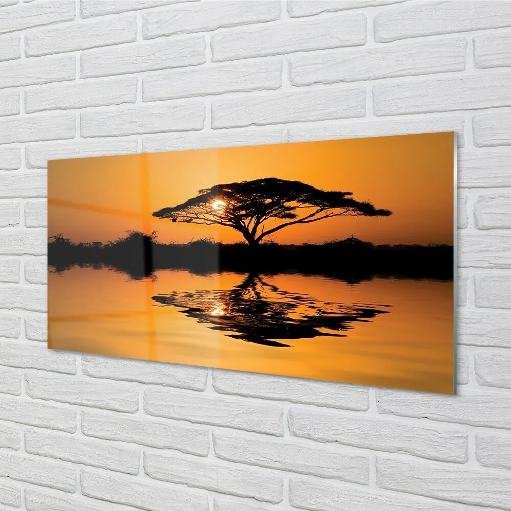 Obraz na skle Sunset tree 100x50 cm