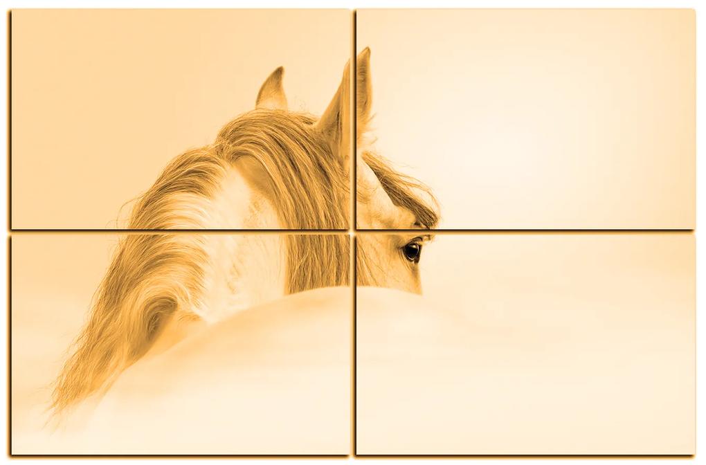 Obraz na plátně - Andaluský kůň v mlze 1219FE (120x80 cm)