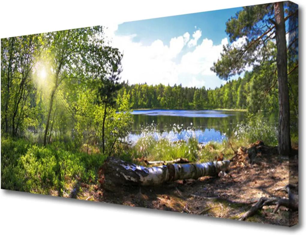 Obraz Canvas Les Stromy Jezero Příroda