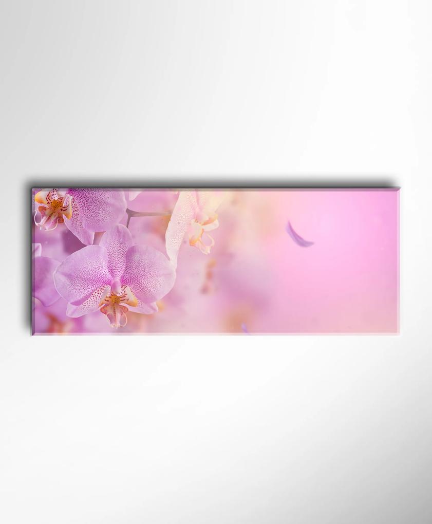 Malvis ® Obraz rozkvetlá orchidej ROZMĚR (šířka x výška): třídílný obdélník 120x80 cm
