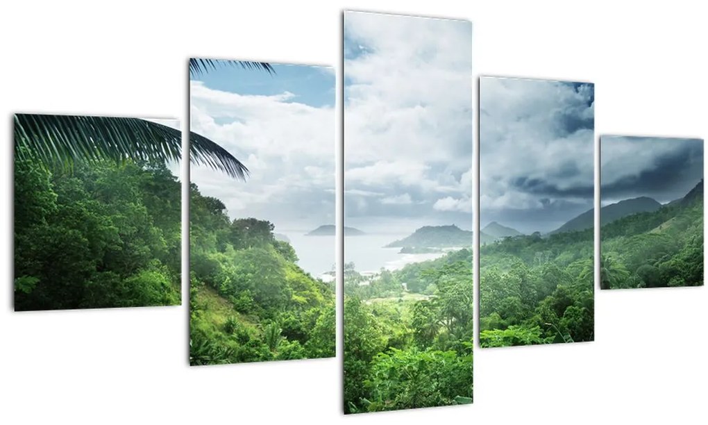 Obraz - Seychelská jungle (125x70 cm)