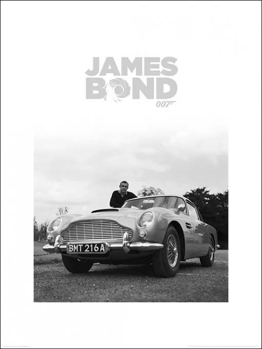 Obrazová reprodukce James Bond - Shean Connery, (40 x 50 cm)