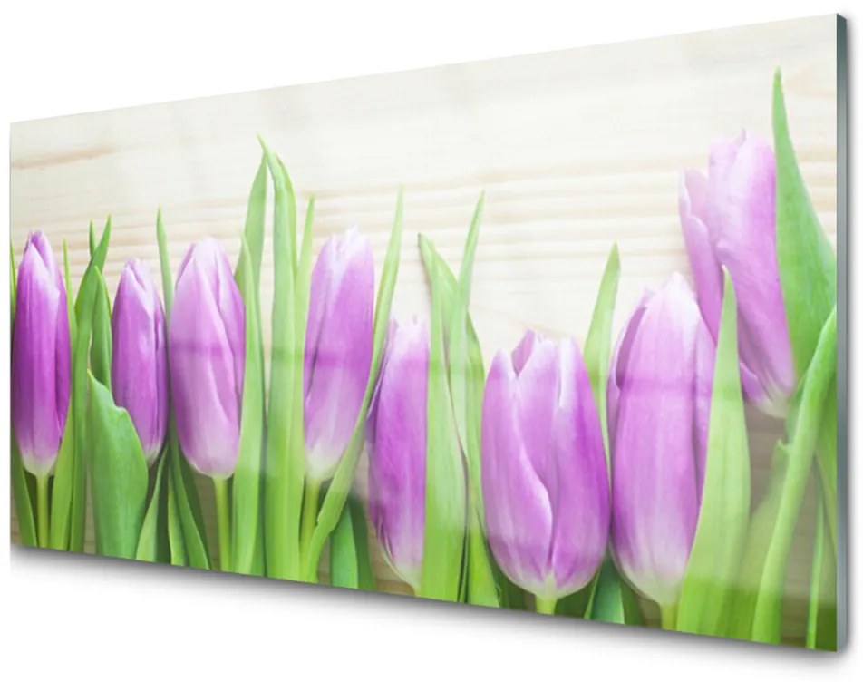 Plexisklo obraz Tulipány Květiny Příroda