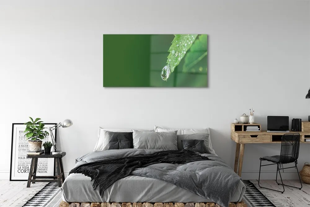 akrylový obraz Kapka vody listí 125x50 cm