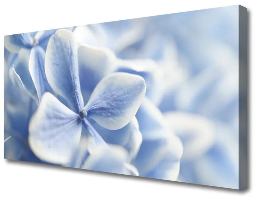 Obraz na plátně Květiny Plátky Příroda 125x50 cm