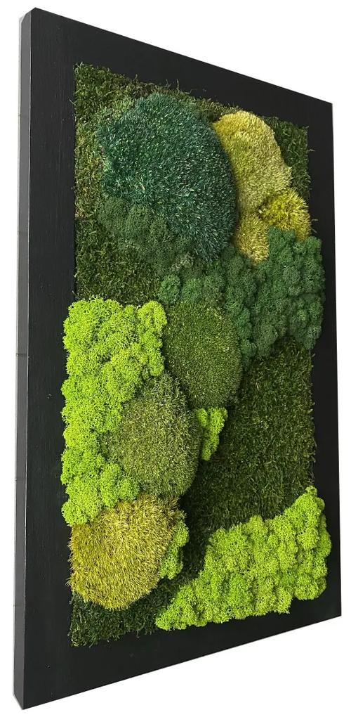 WOODILO Mechový obraz v  rámu z masivu 209 | kombinace mechů Rozměr obrazu: 120x50 cm, Barva rámu: Přírodní (světlé dřevo), Síla rámu (pohledová): 3,7 cm