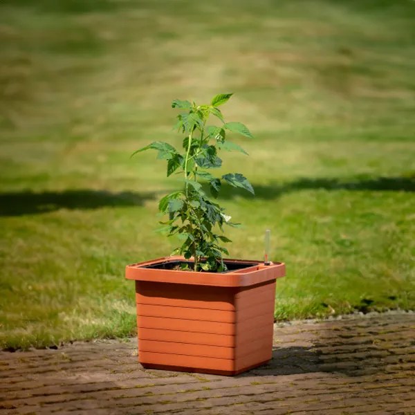 Samozavlažovací velkoobjemový truhlík Berberis UNO terakota 45 cm