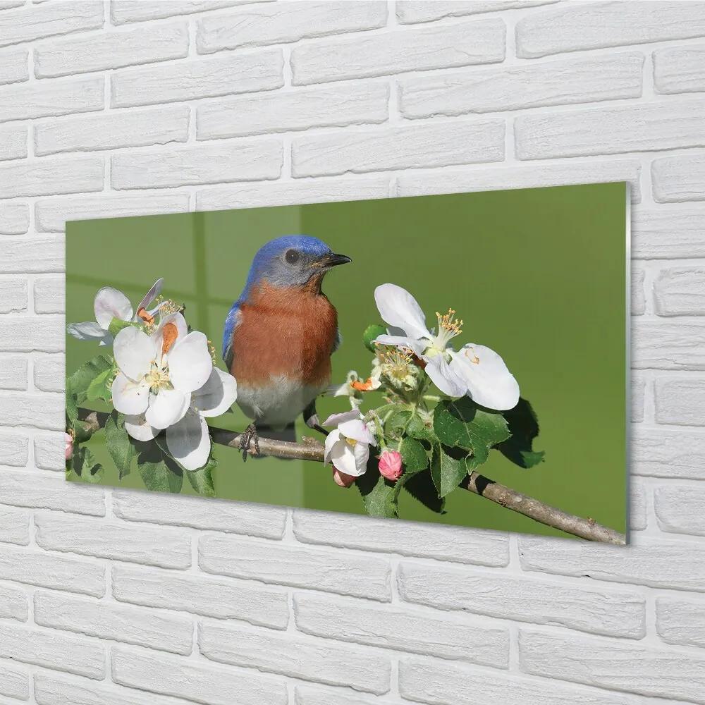 Obraz na skle Květiny barevné papoušek 120x60 cm