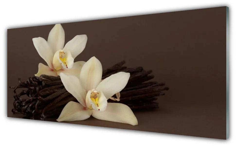 Obraz na skle Květy Vanilky do Kuchyně 125x50 cm