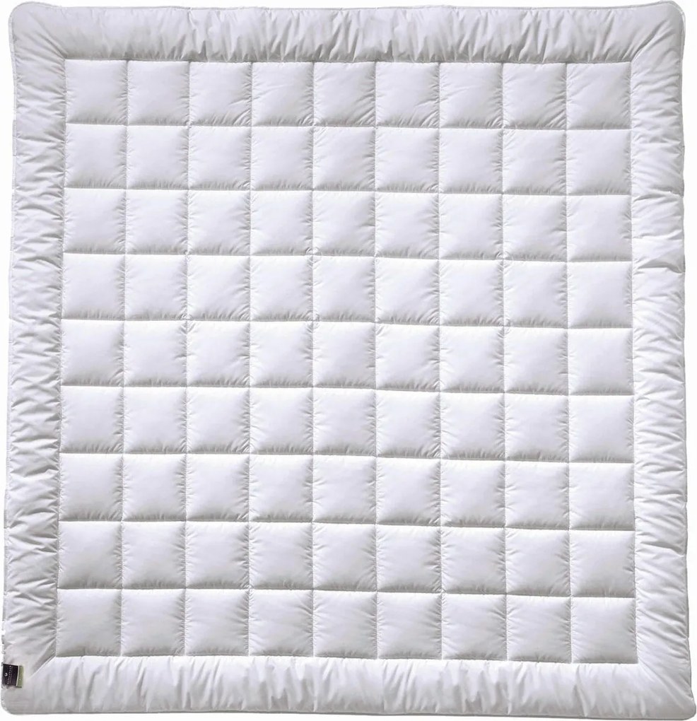 XXXLutz CELOROČNÍ PŘIKRÝVKA, 200/200 cm, polyester Billerbeck - Přikrývky - 003279011103
