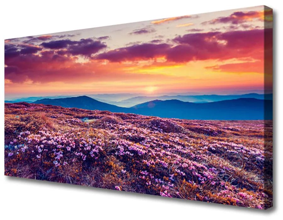 Obraz na plátně Louka Hory Květiny Příroda 100x50 cm