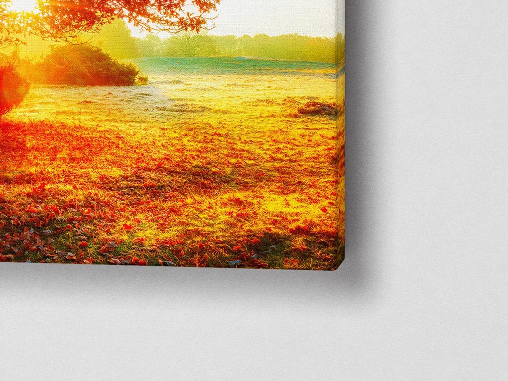 Liox Obraz strom v paprscích slunce Rozměr: 100 x 40 cm