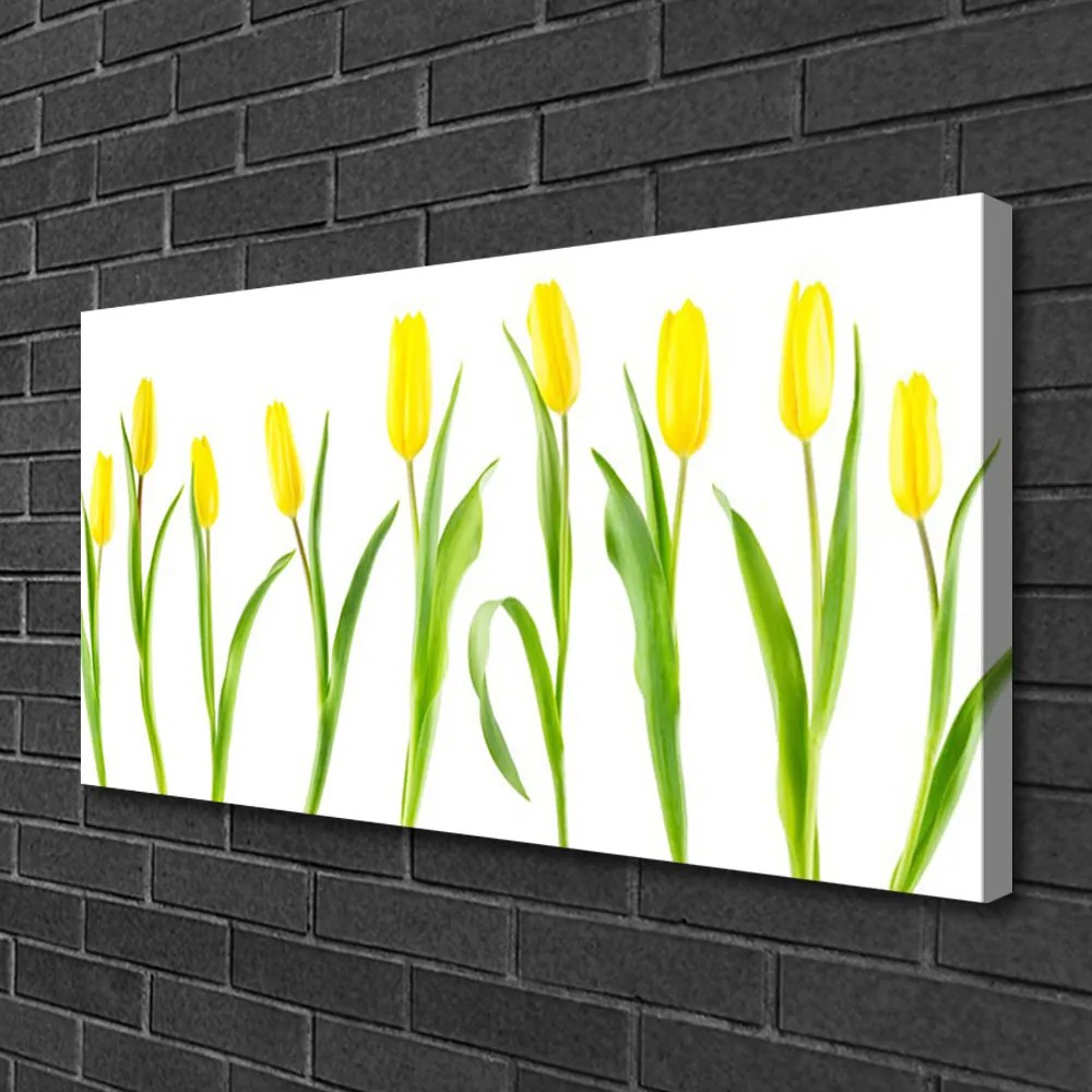 Obraz na plátně Žluté Tulipány Květiny 100x50 cm