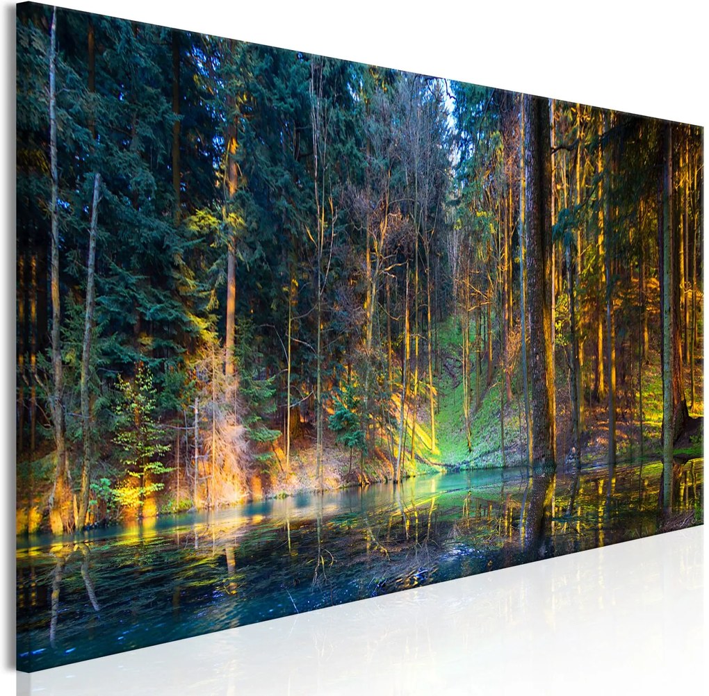 Obraz - Pond in the Forest (1 Part) Narrow 120x40