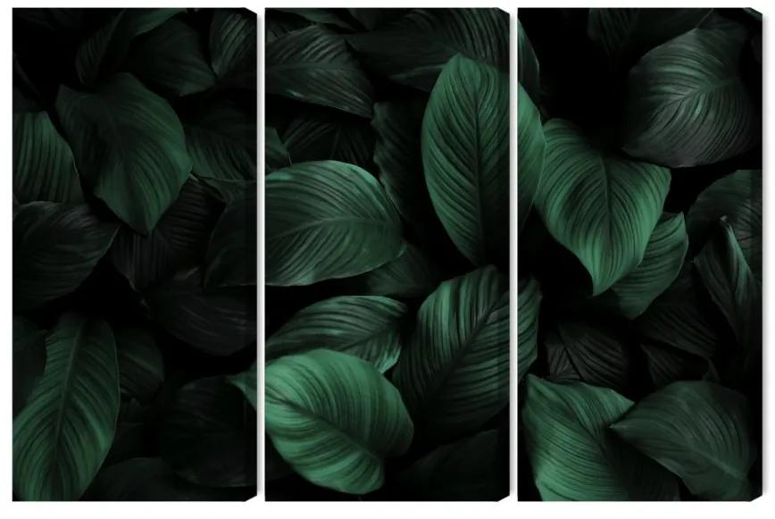 Vícedílný obraz Zelené Listy Na Makro Stupnici Nedostatek Nedostatek Plátno Canvas 60x40