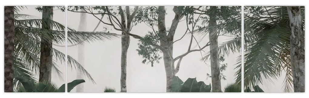 Obraz - Jungle v ranní mlze (170x50 cm)