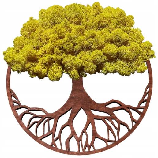 OznTo Obraz strom s mechem 50cm žlutý Barva: Bílá