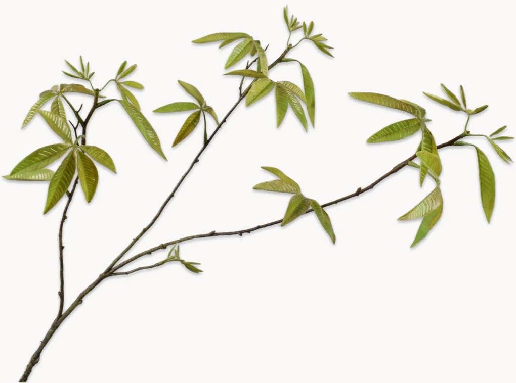 Sada umělých větviček Maple, 2 díly