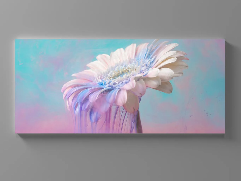 XXL obraz růžovomodrá gerbera Rozměr: 300 x 150 cm