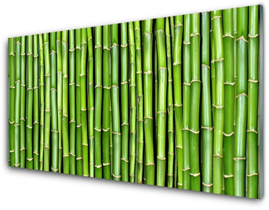 Obraz na skle Bambus Květ Rostlina 120x60 cm