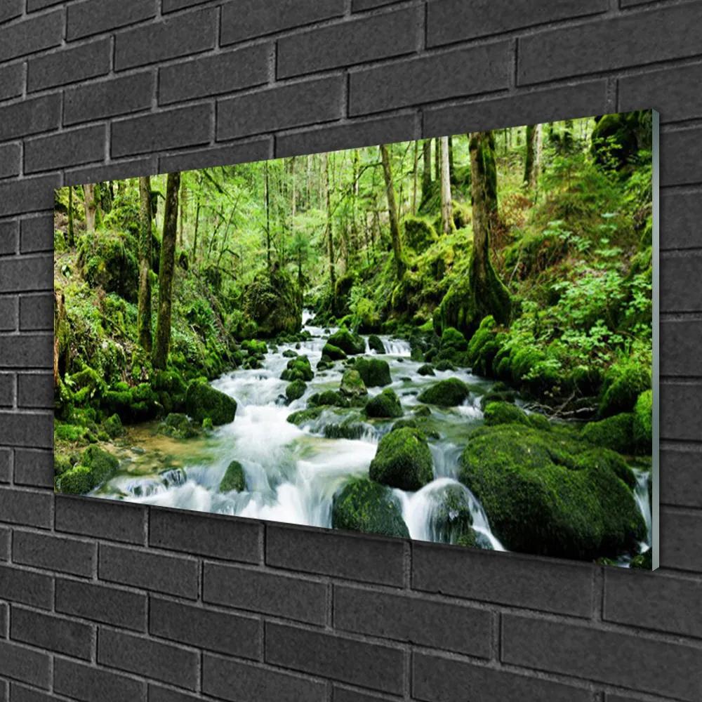 Obraz na skle Les Potok Vodopády Řeka 140x70 cm
