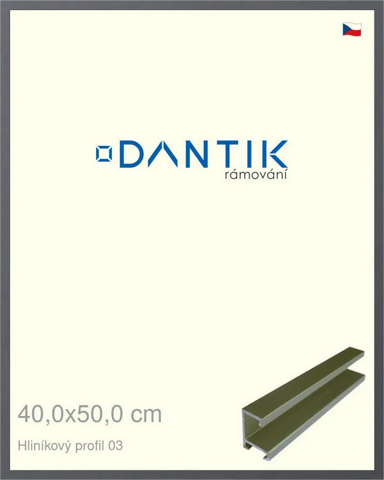 DANTIK rámeček 40x50 | ALU profil 7003 Platina matná (Plexi Čiré)