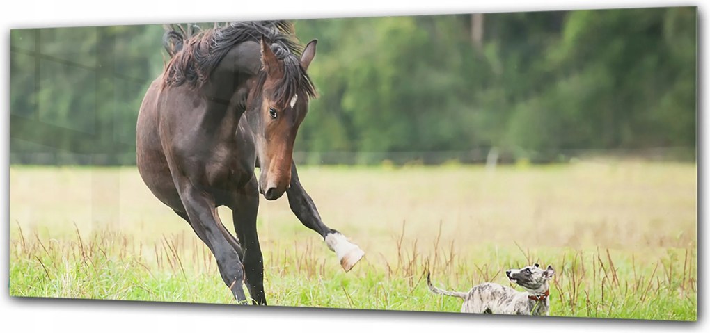 Skleněný obraz 125x50 grafika za sklem koně