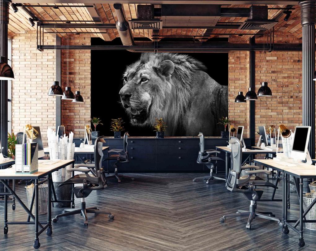 Malvis Tapeta Černobílý lev Vel. (šířka x výška): 216 x 140 cm