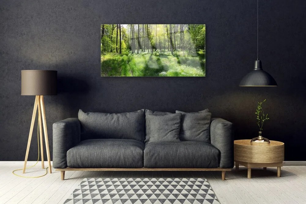 Plexisklo-obraz Les Tráva Rostlina Příroda 100x50 cm