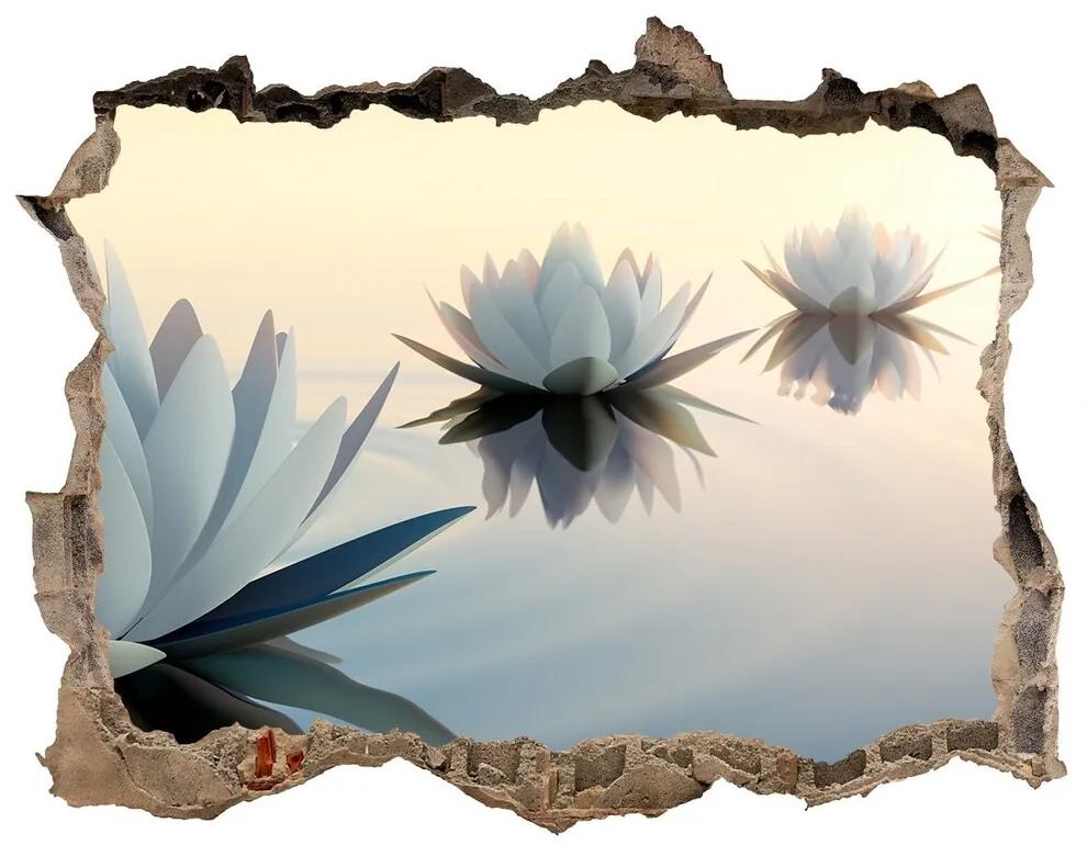 Wallmuralia Samolepící díra na stěnu Květy lotosu 95x64 cm