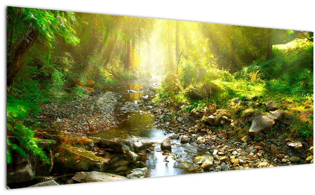 Obraz řeky v zeleném lese (100x40 cm), 40 dalších rozměrů