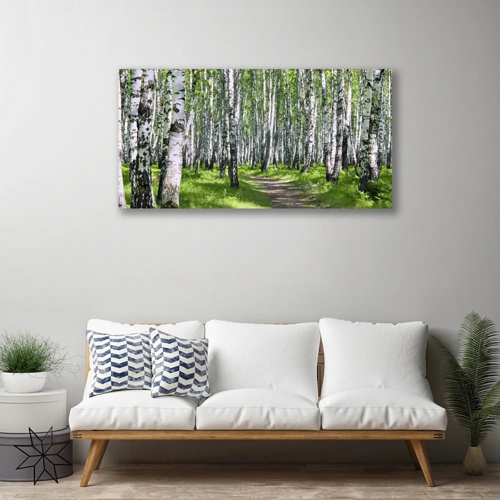 Obraz na plátně Les Stezka Příroda 100x50 cm