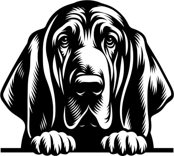 Samolepka pes Bloodhound