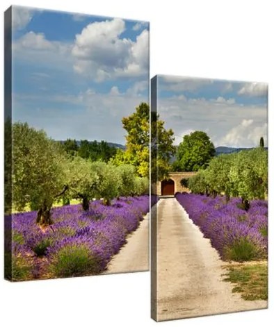 Tištěný obraz Cesta v Provence 60x60cm 1993A_2A