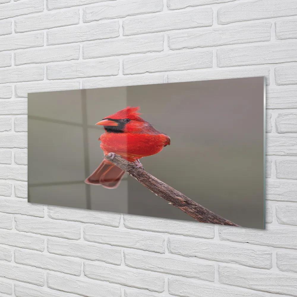 akrylový obraz Red papoušek na větvi 125x50 cm