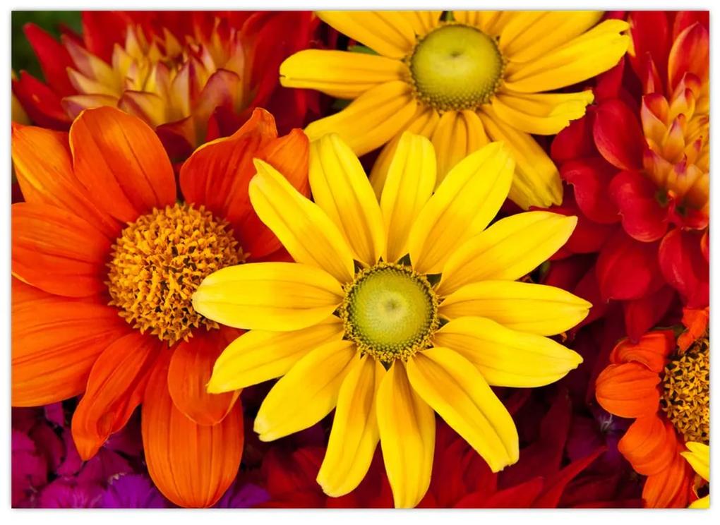 Skleněný obraz květů (70x50 cm)
