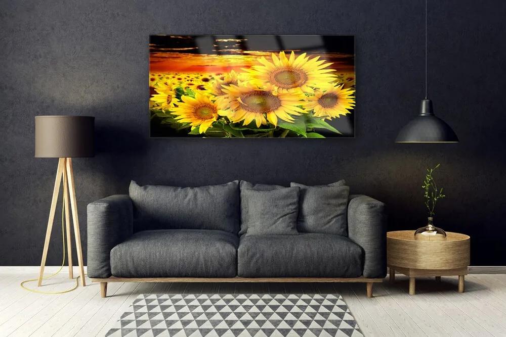 akrylový obraz Slunečnice Květ Rostlina 120x60 cm