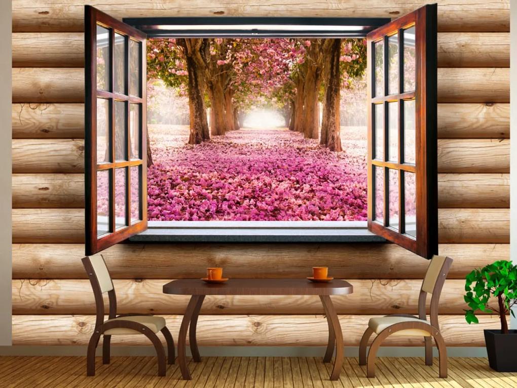 3D samolepicí tapeta okno do aleje Velikost (šířka x výška): 392x280 cm
