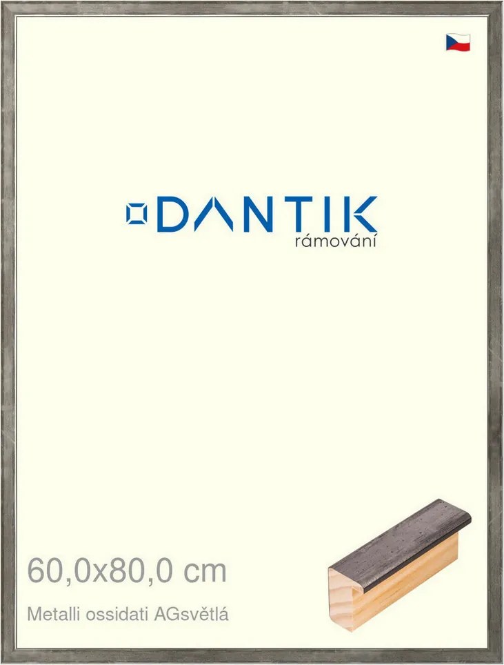 DANTIK rámeček 60x80 | Metalli oidati AGsvětlá (Plexi Čiré)