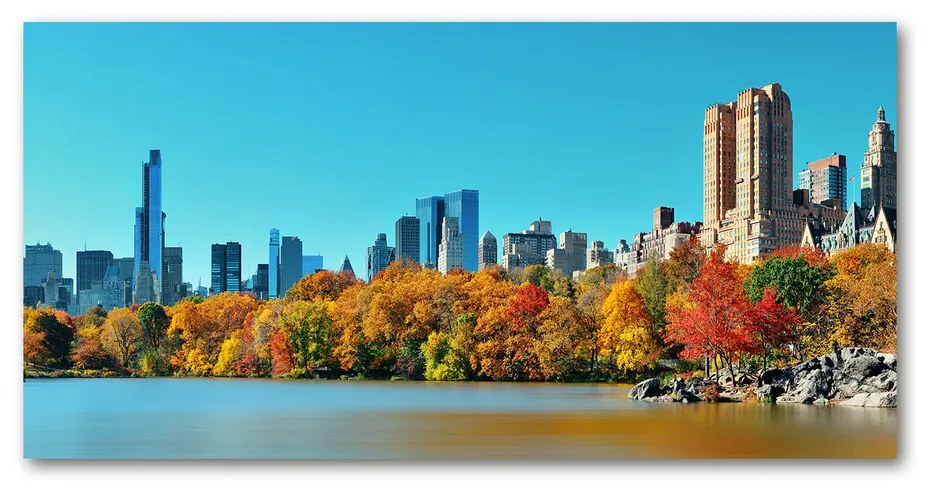 Wallmuralia Foto obraz akrylové sklo New York podzim 120x60 cm