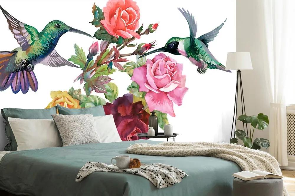 Tapeta kolibříky s květinami - 300x200 cm
