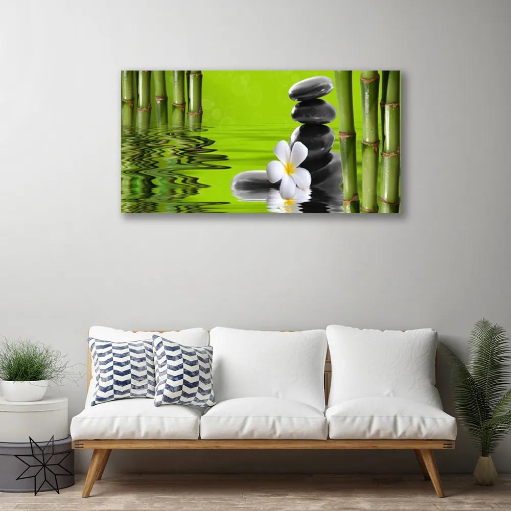 Obraz na plátně Bambus Kameny Rostlina 100x50 cm