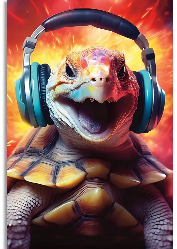 Obraz želva se sluchátky