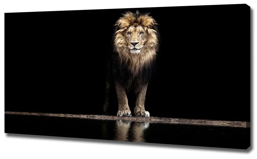 Wallmuralia Foto obraz na plátně do obýváku Portrét lva 120x60 cm