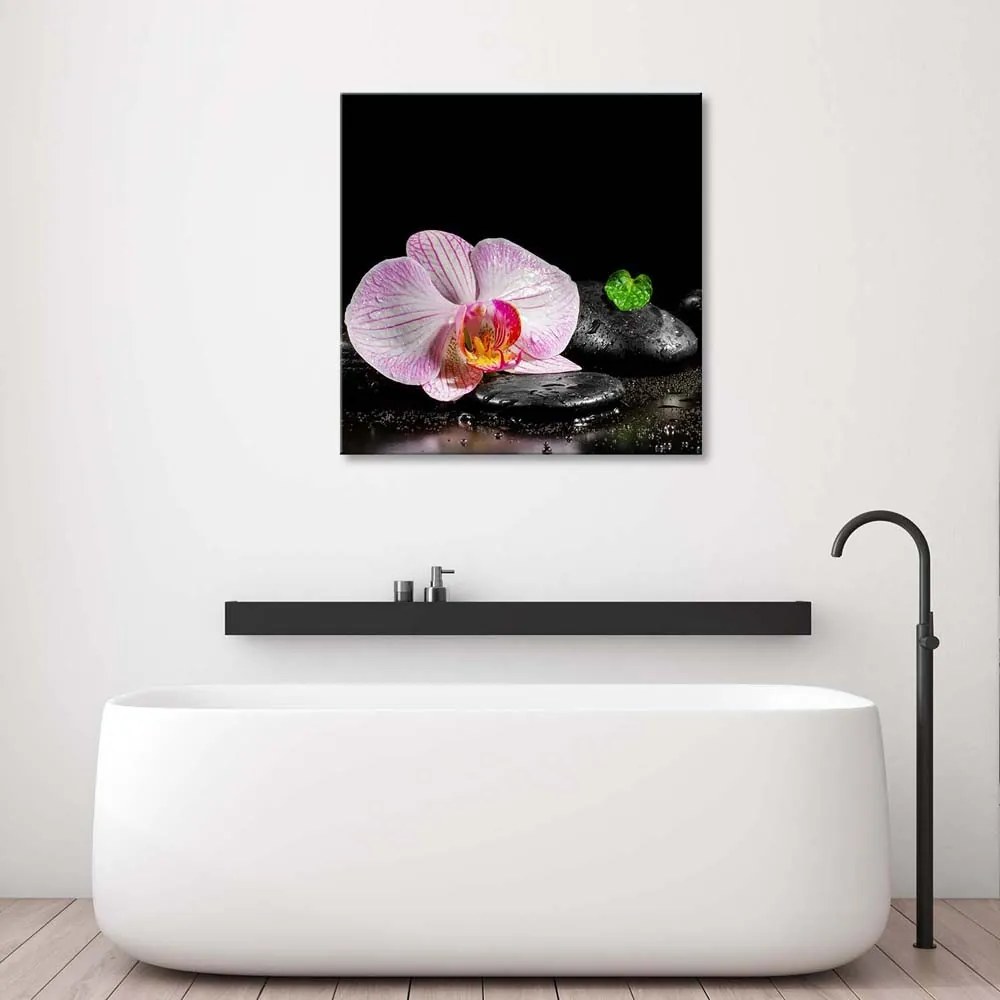 Gario Obraz na plátně Kvetoucí orchidej zen Rozměry: 30 x 30 cm