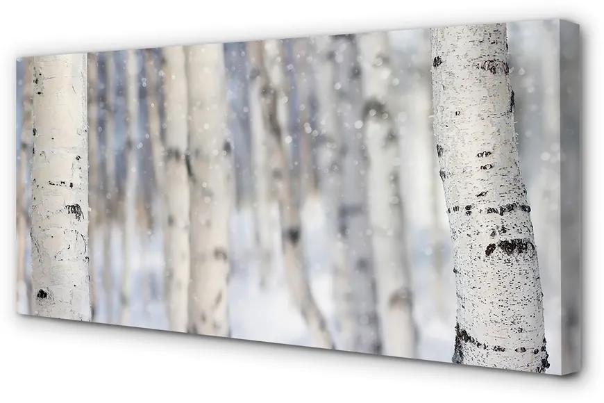 Obrazy na plátně Stromy v zimě sníh 140x70 cm